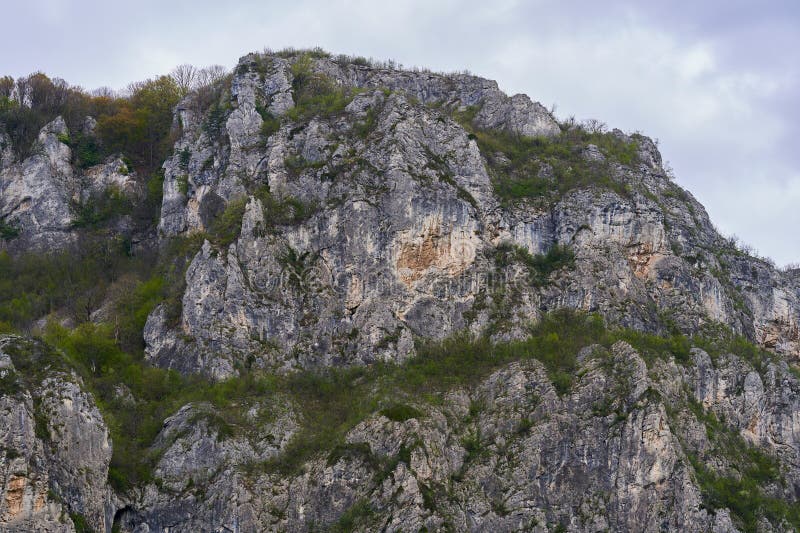 Spring Cliffs and Forested Peaks Stock Image - Image of wild, geology ...