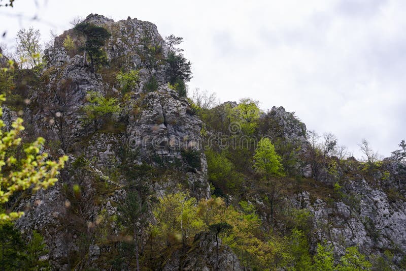 Spring Cliffs and Forested Peaks Stock Photo - Image of trees, outdoor ...
