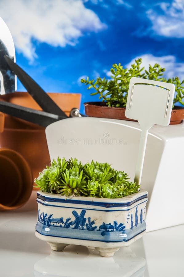 Spring Climate with Gardening Stuff Stock Image - Image of green ...