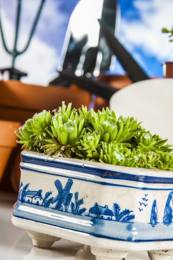 Spring Climate with Gardening Stuff Stock Photo - Image of flower ...