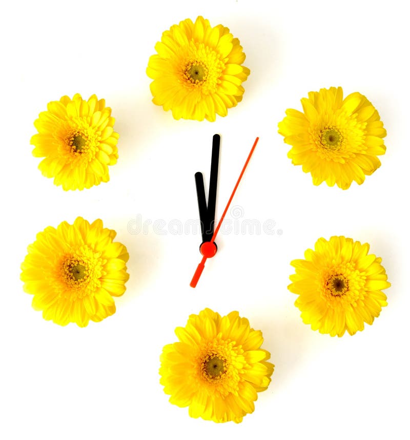 Spring clock stock photo. Image of springtime, gerbera - 38691484