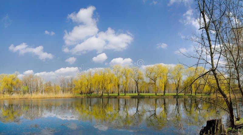 Spring clouds stock image. Image of mirr, spring, willow - 53283679