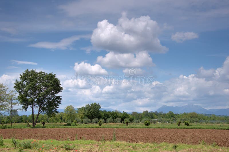 Spring Clouds in the Sky on Fields Stock Image - Image of green, field ...