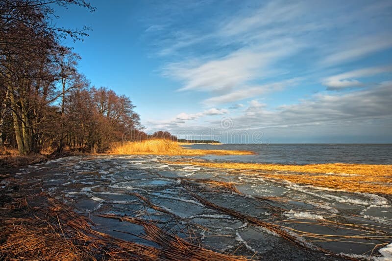 Spring coast stock image. Image of wood, sand, park, yellow - 9192749