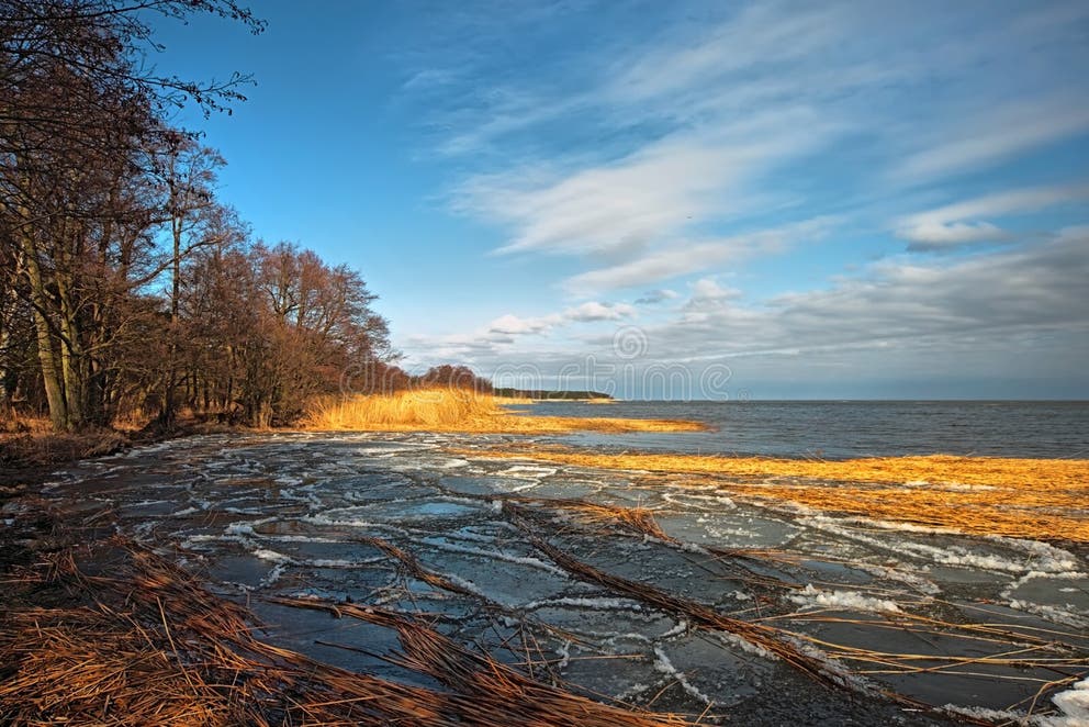 Spring coast stock image. Image of wood, sand, park, yellow - 9192749