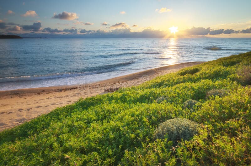 Spring coast on the sea stock image. Image of holiday - 112449839
