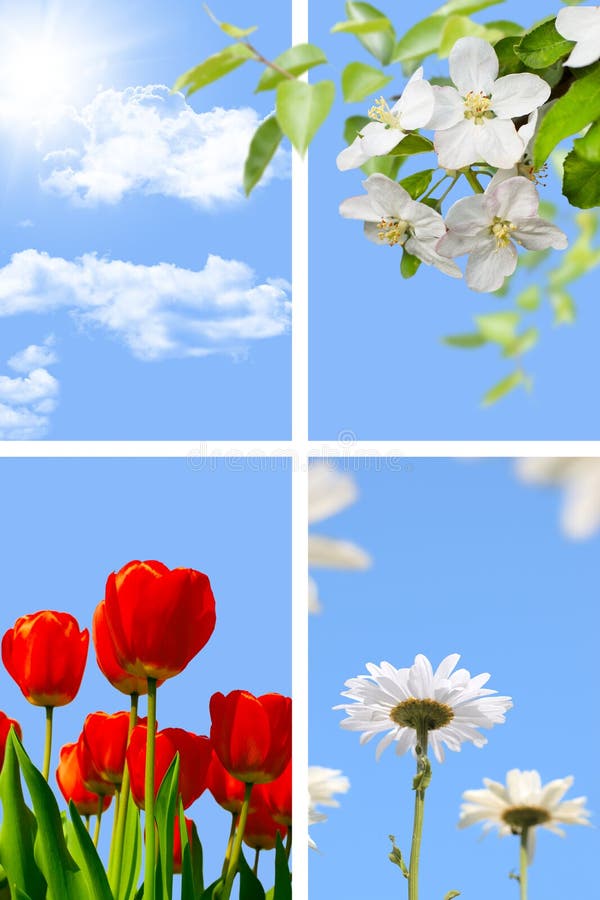 Spring collage stock photo. Image of colorful, nature - 19436782