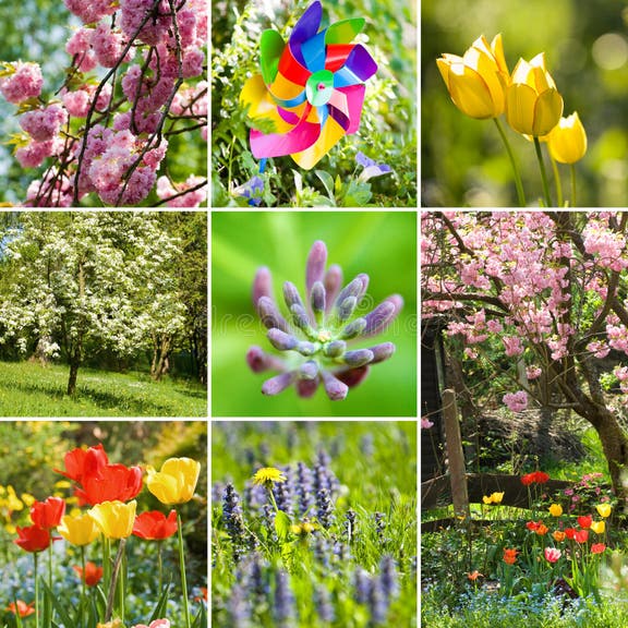 Spring collage stock image. Image of beautiful, growth - 28794153