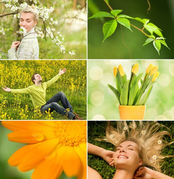 Spring collage stock photo. Image of design, season, foliage - 7850576
