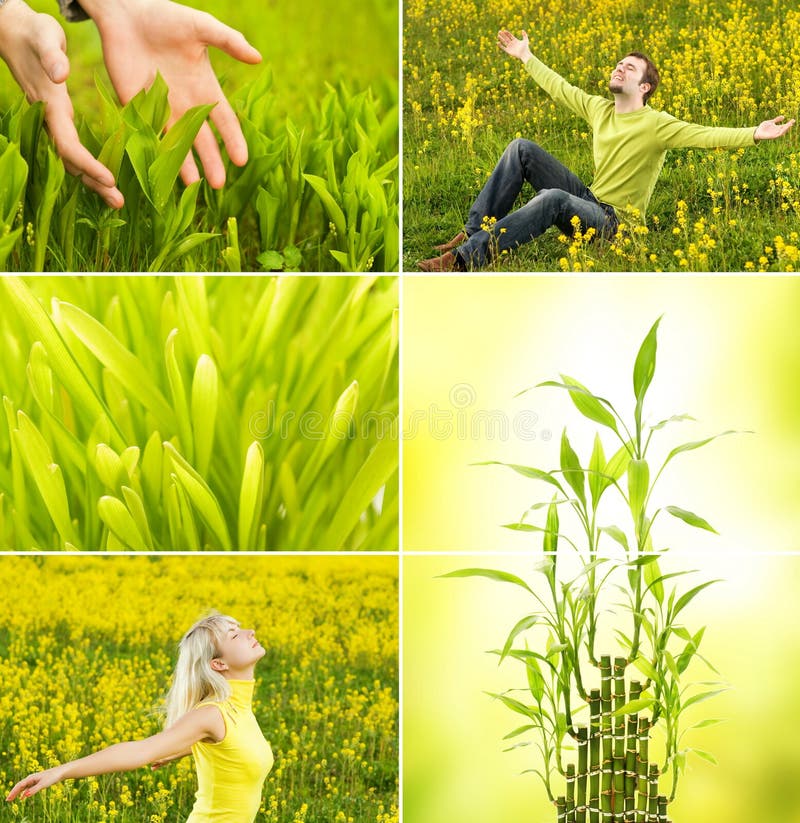 Spring collage stock photo. Image of colorful, nature - 19436782