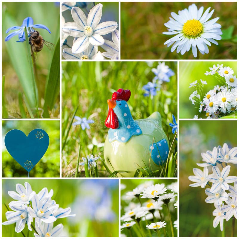 Spring collage stock image. Image of primrose, nature - 28794027