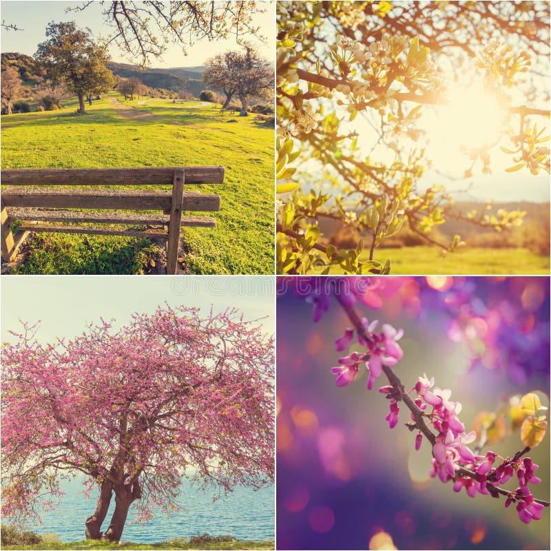Spring collage stock image. Image of meadow, backdrop - 54189511