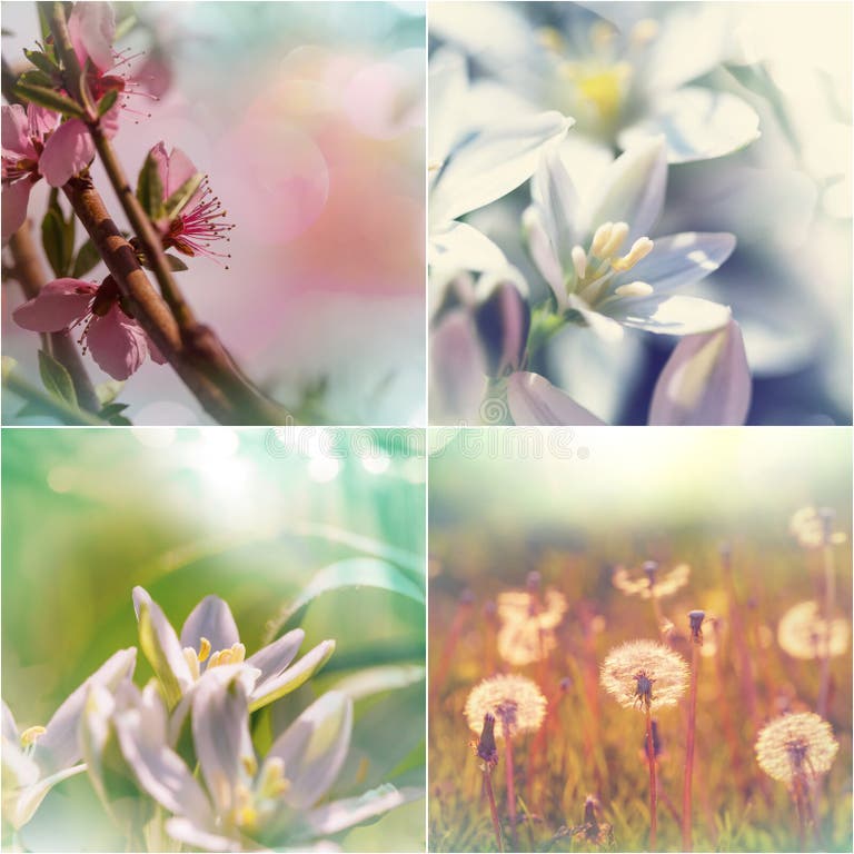 Spring collage stock image. Image of effect, easter, foliage - 84703159