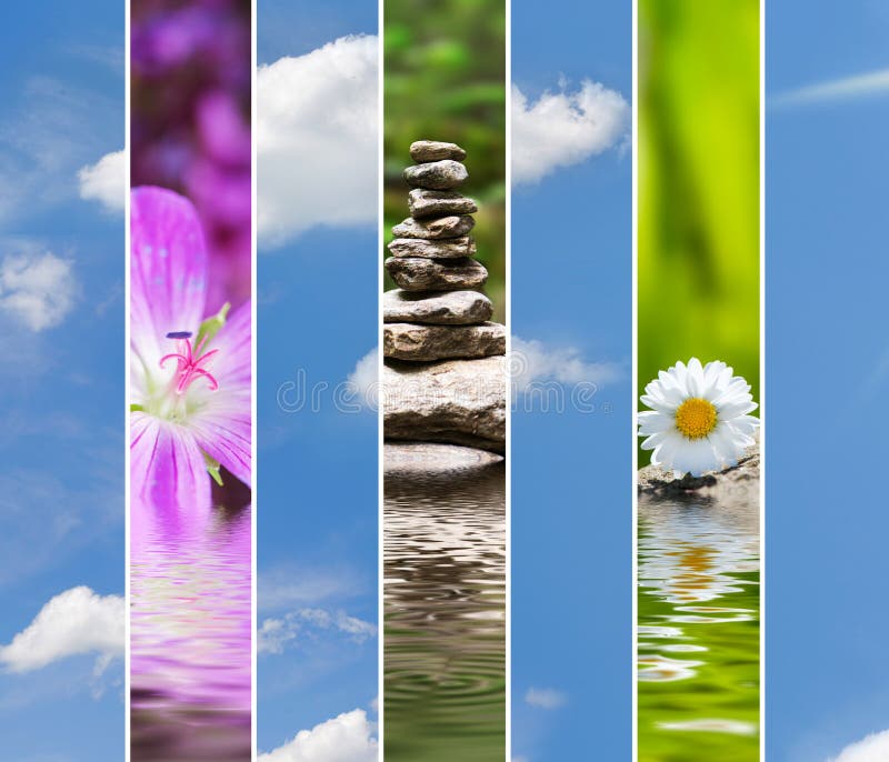 Spring collage stock image. Image of primrose, nature - 28794027