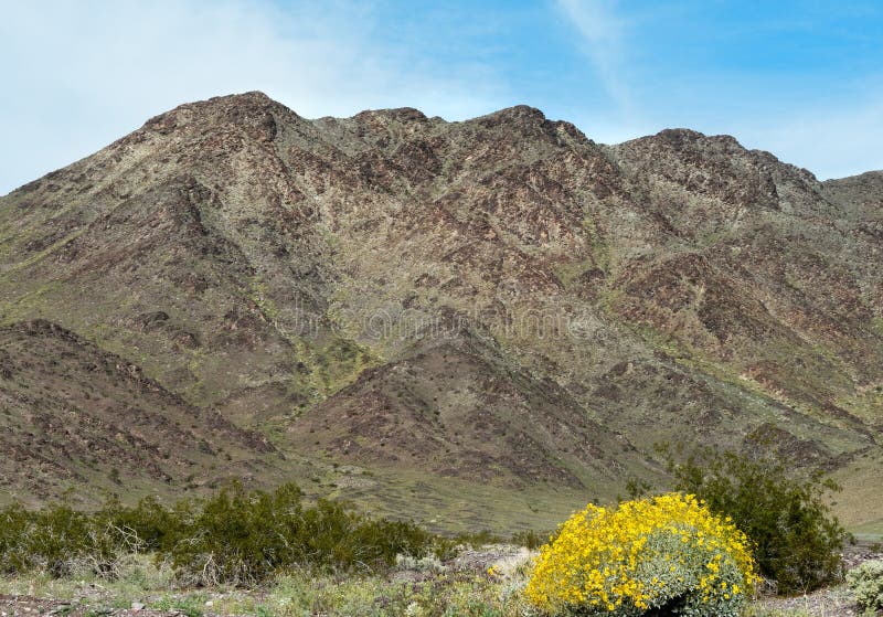 Tri-Color Desert Camouflage Stock Photo - Image of khaki, beige: 13961818