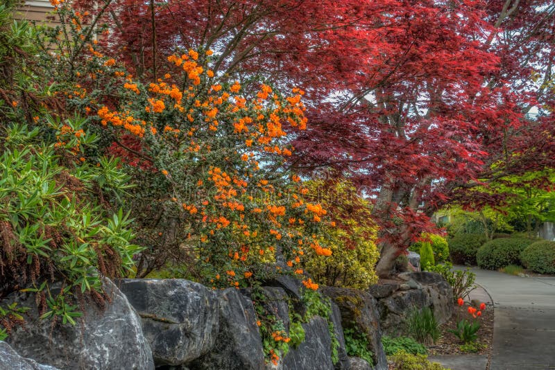 Spring Color Splash stock image. Image of pacific, dynamic - 91876177