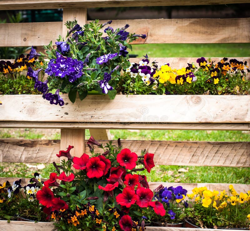 Spring Colored Flowers and Plants on a Wooden Support Stock Image ...