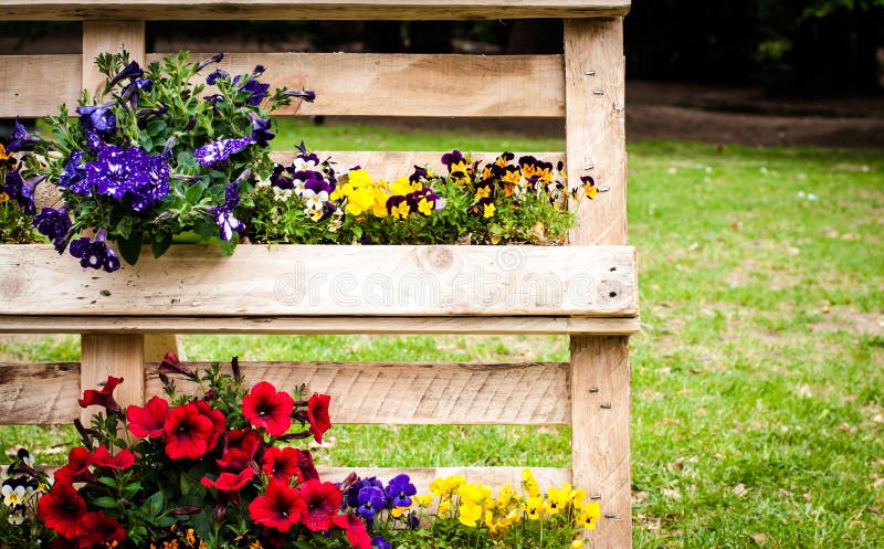 Spring Colored Flowers and Plants on a Wooden Support Stock Image ...