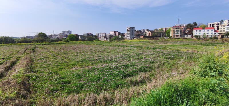 Panoramic View of Rural and Architectural Scenery of Riverside Plain in ...
