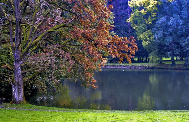 Spring colors stock photo. Image of flowered, garden - 24410448