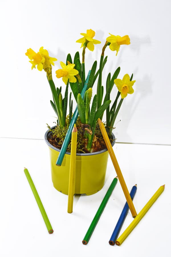 Spring Colors Abstraction Using Colored Pencils. Stock Photo - Image of ...