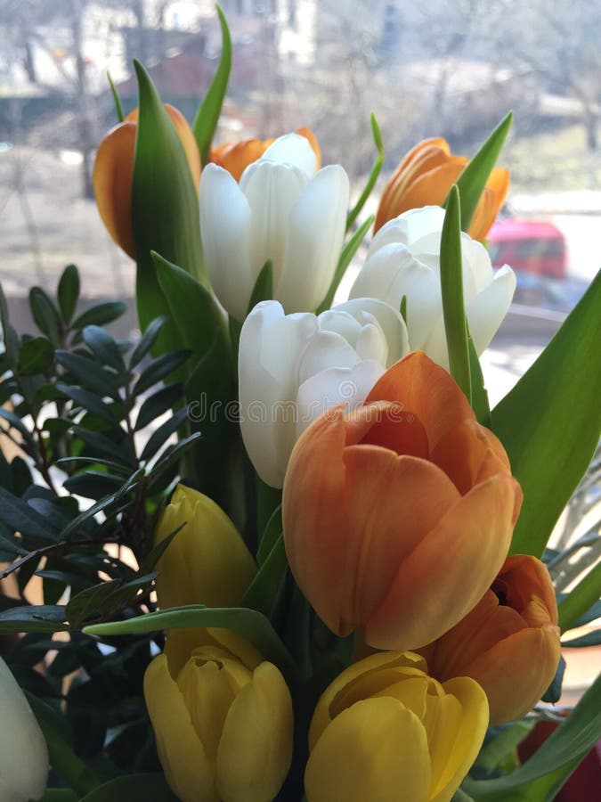 Spring colors. stock image. Image of spring, flower, april - 70065303