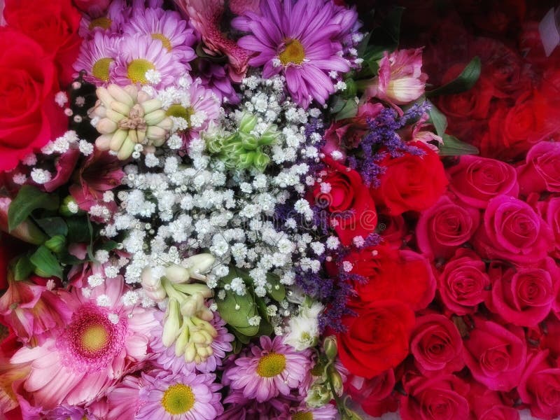 Spring colors stock image. Image of colors, season, delicate - 112534663