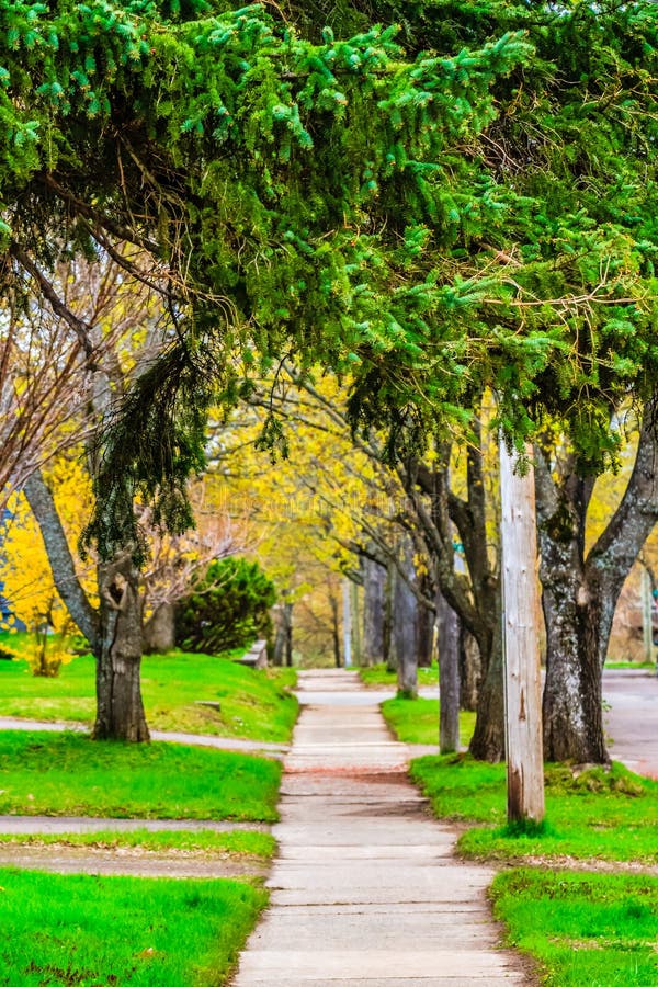 357 Greater Moncton Stock Photos - Free & Royalty-Free Stock Photos ...