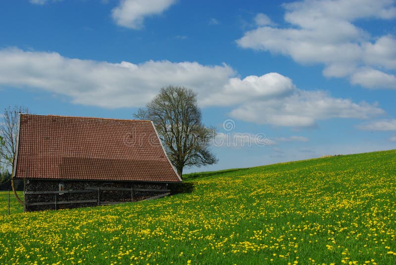 Spring Colours in Bavaria, Germany Stock Image - Image of steingaden ...