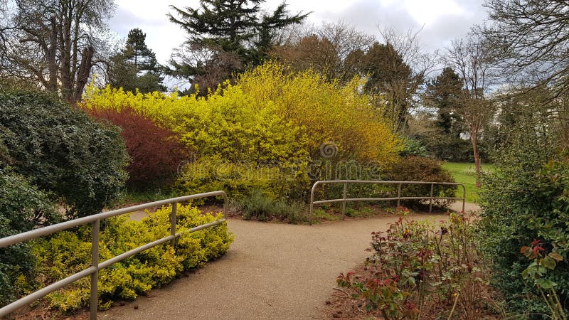 Spring colours in stock image. Image of leaf, backyard - 179569521