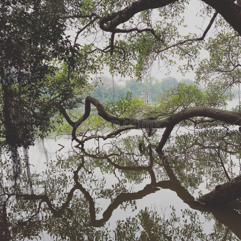 Spring Come To Hoan Kiem Lake Stock Image - Image of lake, captured ...