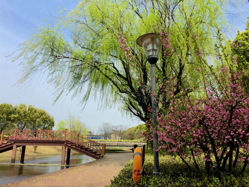 Spring stock photo. Image of green, trees, flowers, spring - 76678318