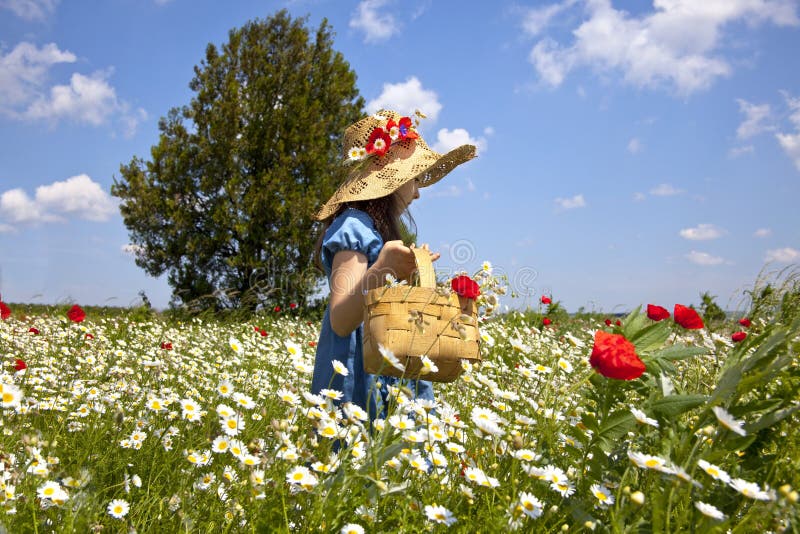 Spring comes stock image. Image of nature, berry, lifestyle - 19079519