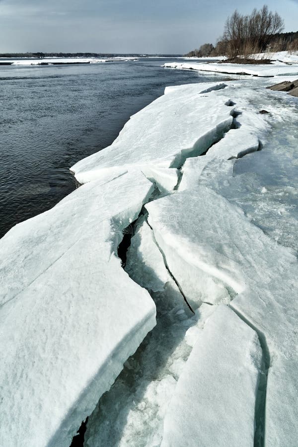 Spring Comes in Siberia. Ice Crushes on the River, Trees Stands without ...