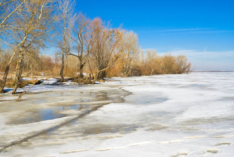 Spring Comes To a River Bank Stock Image - Image of reed, season: 18692617