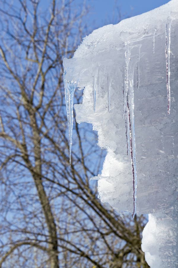 Spring is coming stock photo. Image of snow, frozen, icicles - 23189252