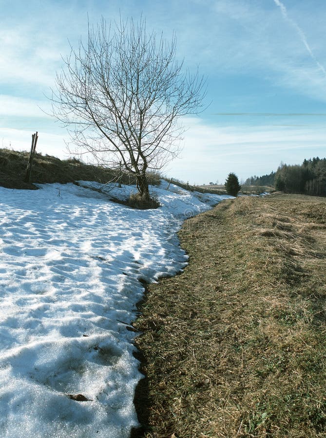Spring is coming stock photo. Image of border, winters - 559788