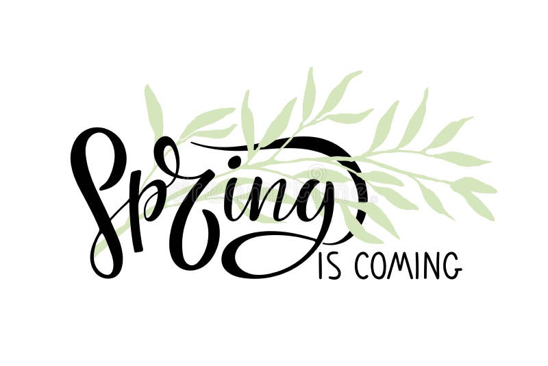 Spring is Coming Calligraphy Lettering with Background of Spring Twig ...