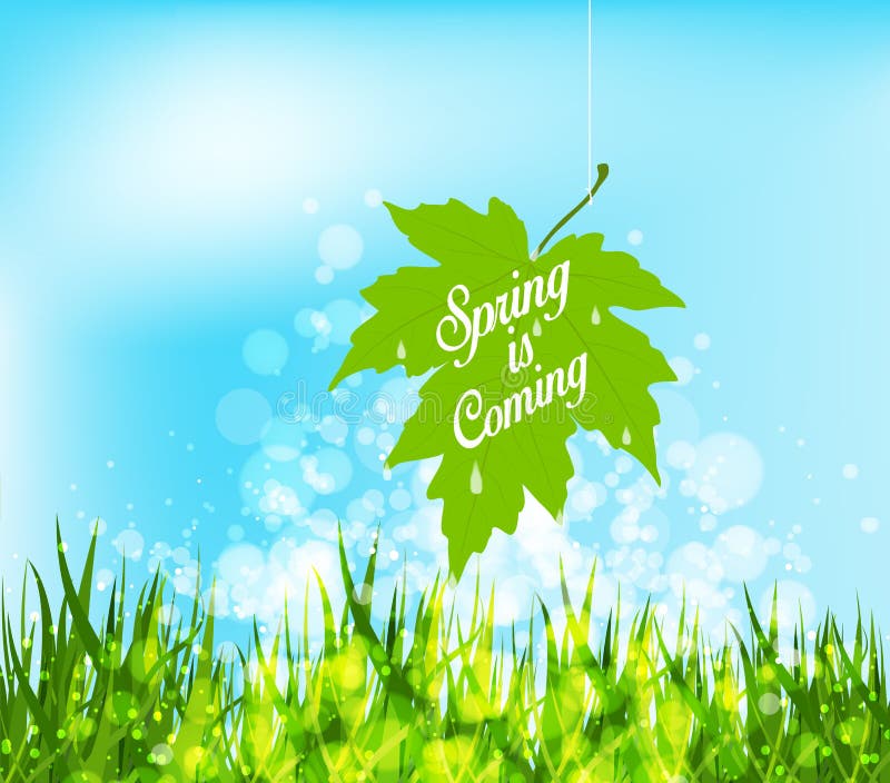 Spring Coming Soon Typographic Design Stock Vector - Illustration of ...