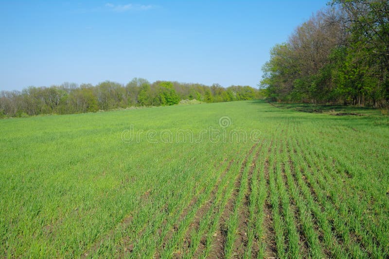 Spring coming to the land stock photo. Image of horizontal - 136382848