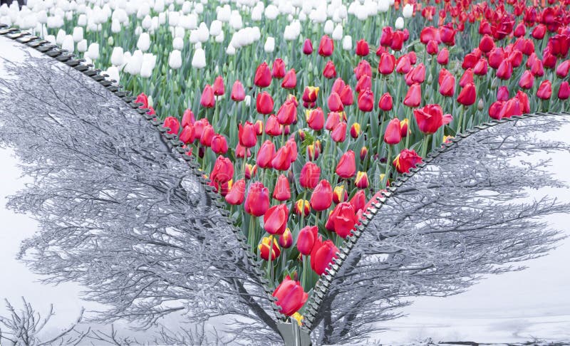 Spring is coming stock illustration. Illustration of flora - 177007178