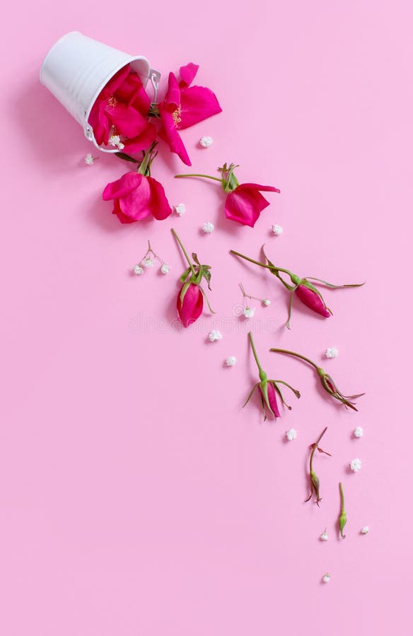 Spring Composition with Pink Flowers Falling from Bucket Stock Photo ...