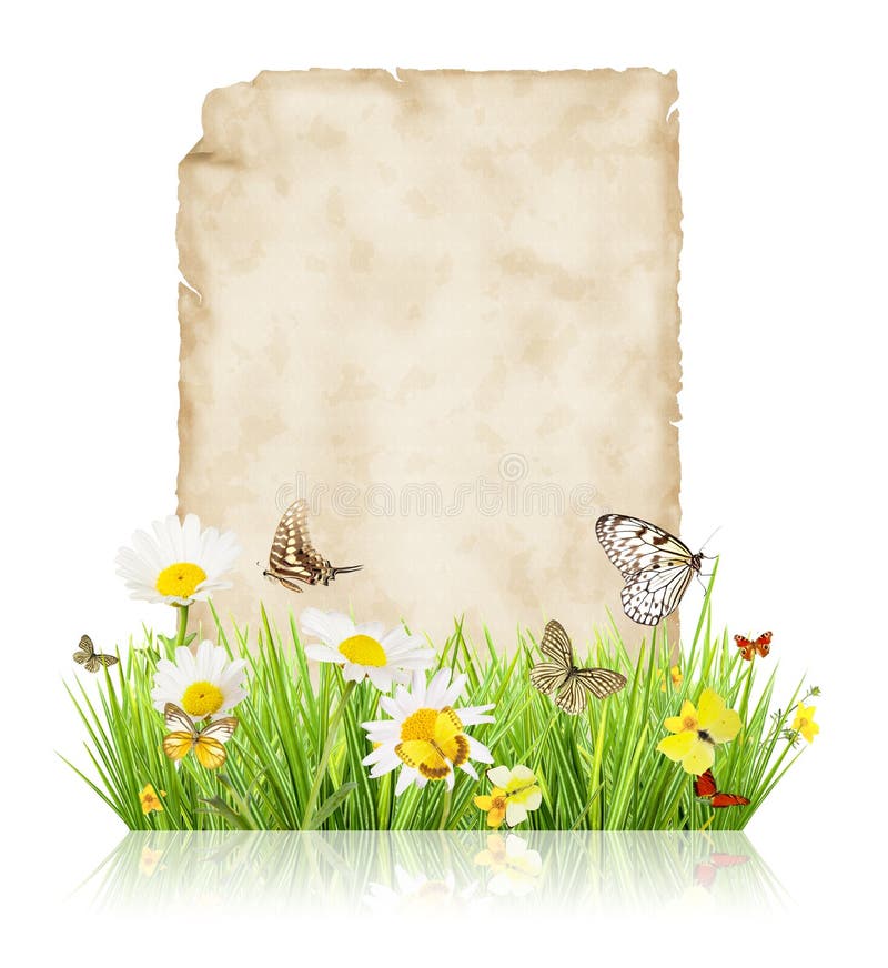 Freedom stock illustration. Illustration of ecology, environment - 18521018