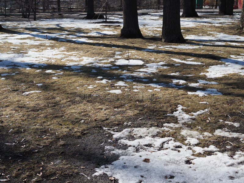 Spring Concept. Snow is Melting Stock Image - Image of green, patch ...