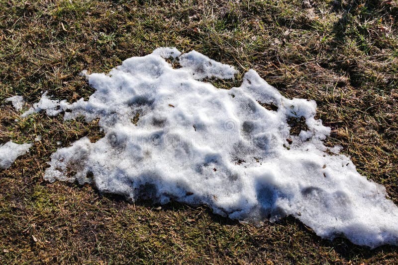 Spring Concept. Snow is Melting. a Little Snow on the Field Stock Photo ...
