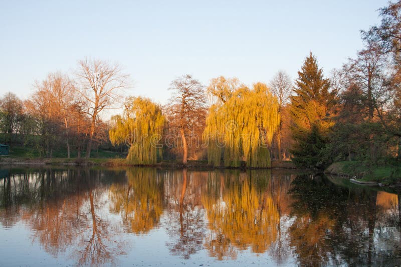 Spring Corners with a Pond and Trees Stock Photo - Image of mirroring ...
