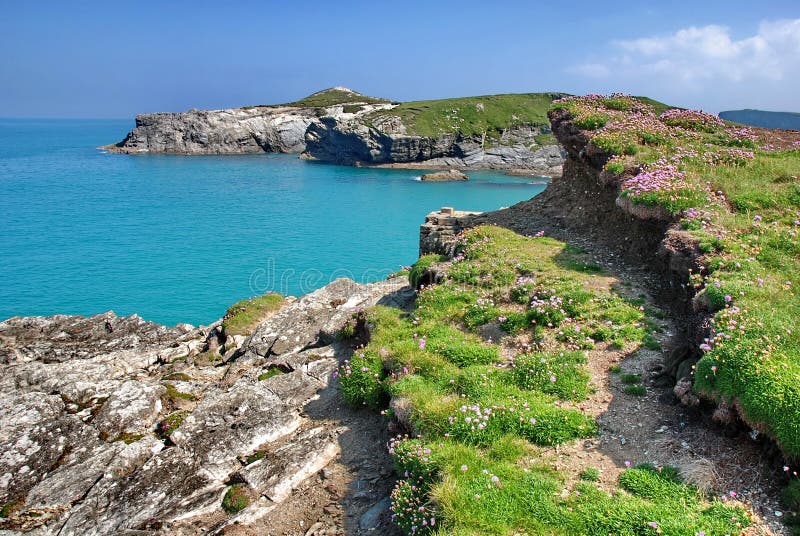 Spring in Cornwall stock photo. Image of heavenly, calm - 4823320