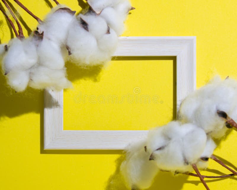 Spring cotton stock image. Image of yellow, detail, leaves - 209614411