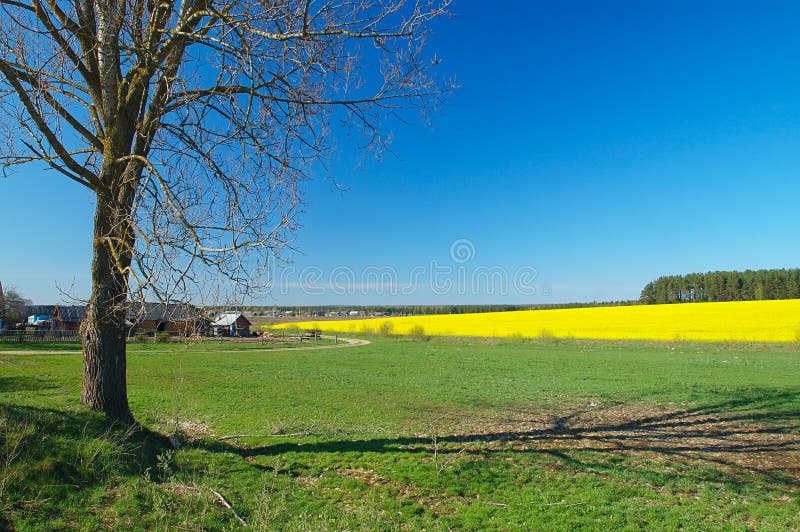 Spring in the country stock image. Image of spring, rural - 14238323
