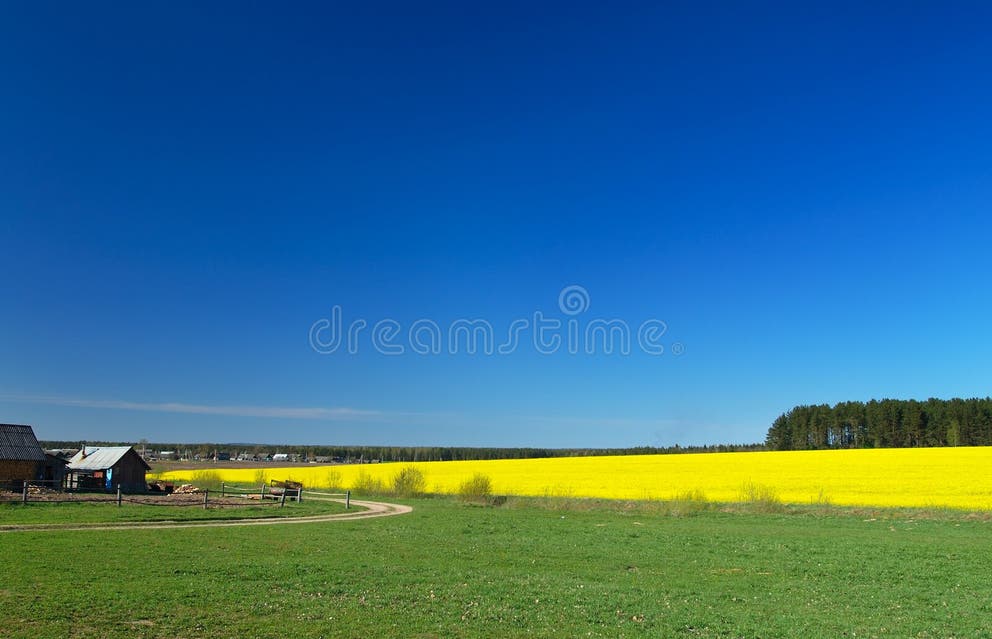 Spring in the Country stock image. Image of field, blooming - 14493665